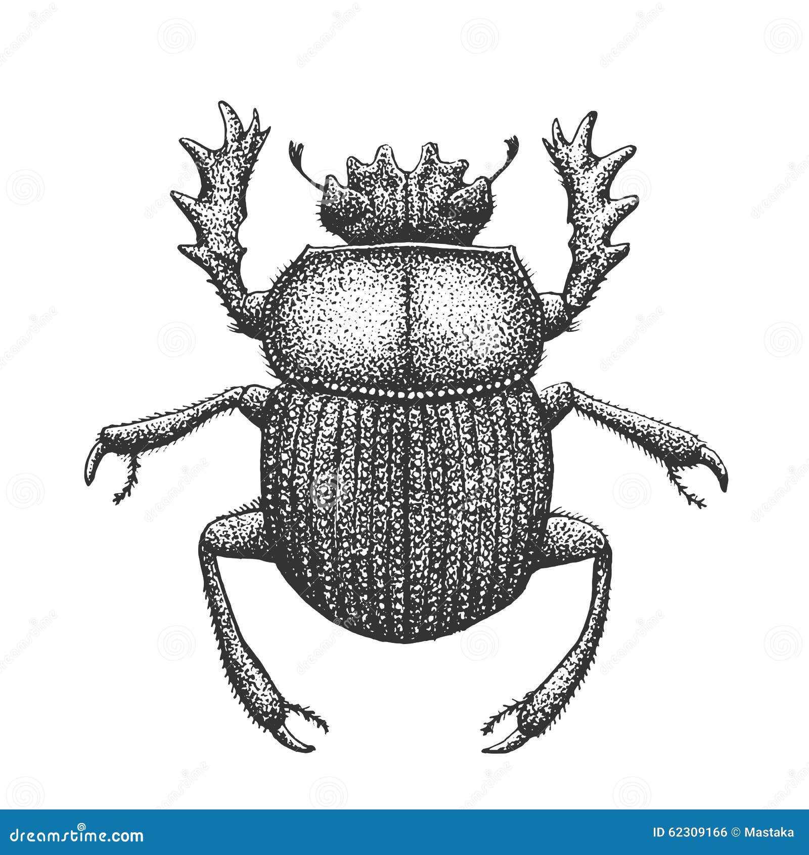 Scarab Engraving Illustration Stock Vector - Illustration of grunge ...