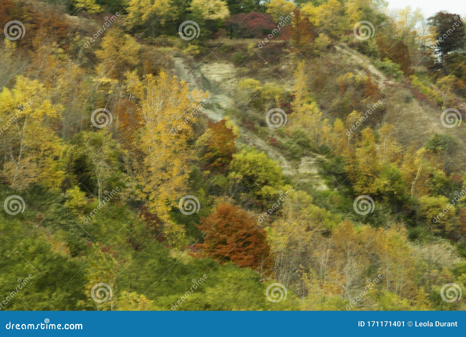 Autumn Colors at the Scarborough Bluffs Stock Image - Image of ...