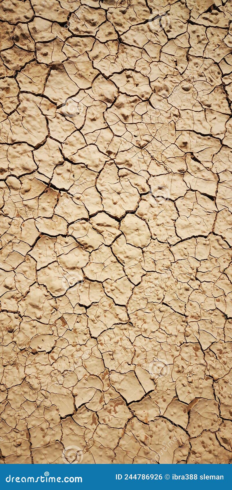 The Scarcity of Water in the Desert Causes Dry and Hot Nature Stock ...