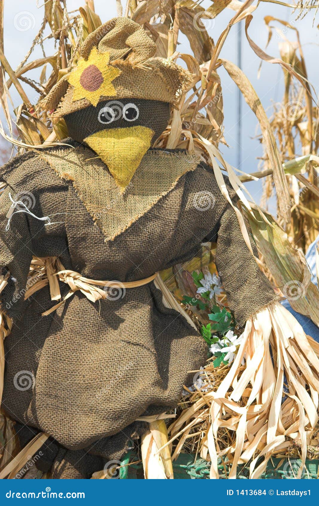 Scare crow 1 stock photo. Image of corn, rural, flowers - 1413684