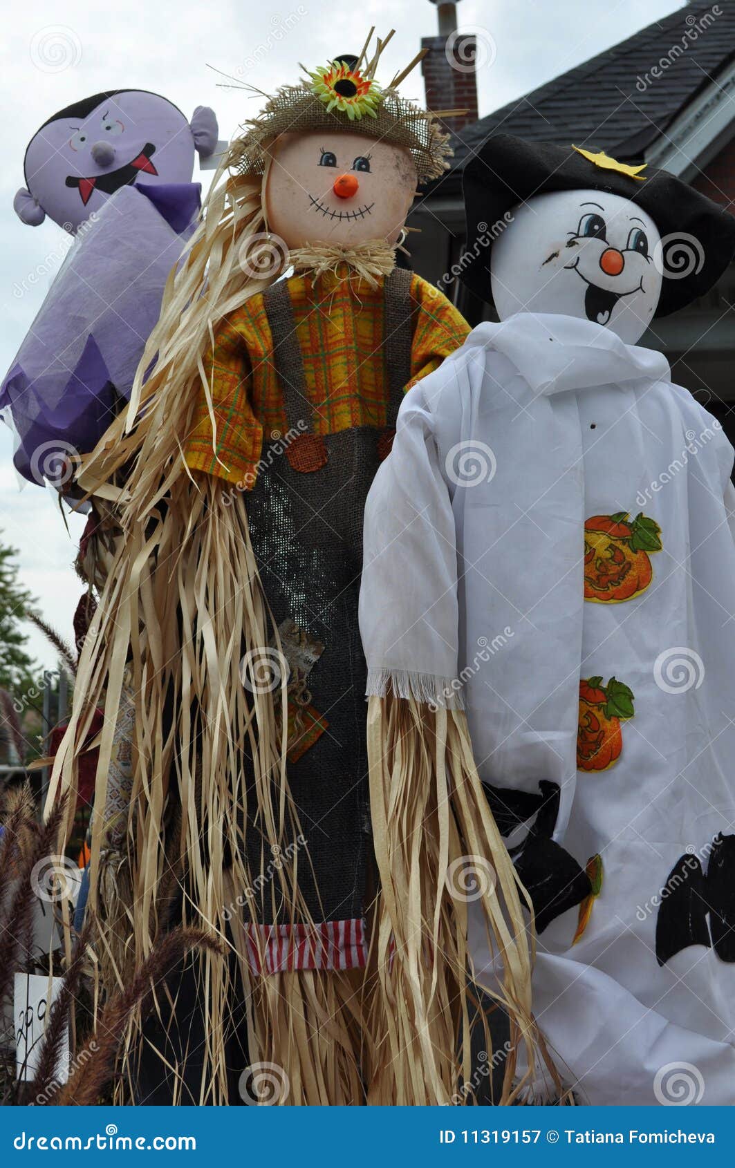Scare-crow stock image. Image of straw, symbol, frightened - 11319157