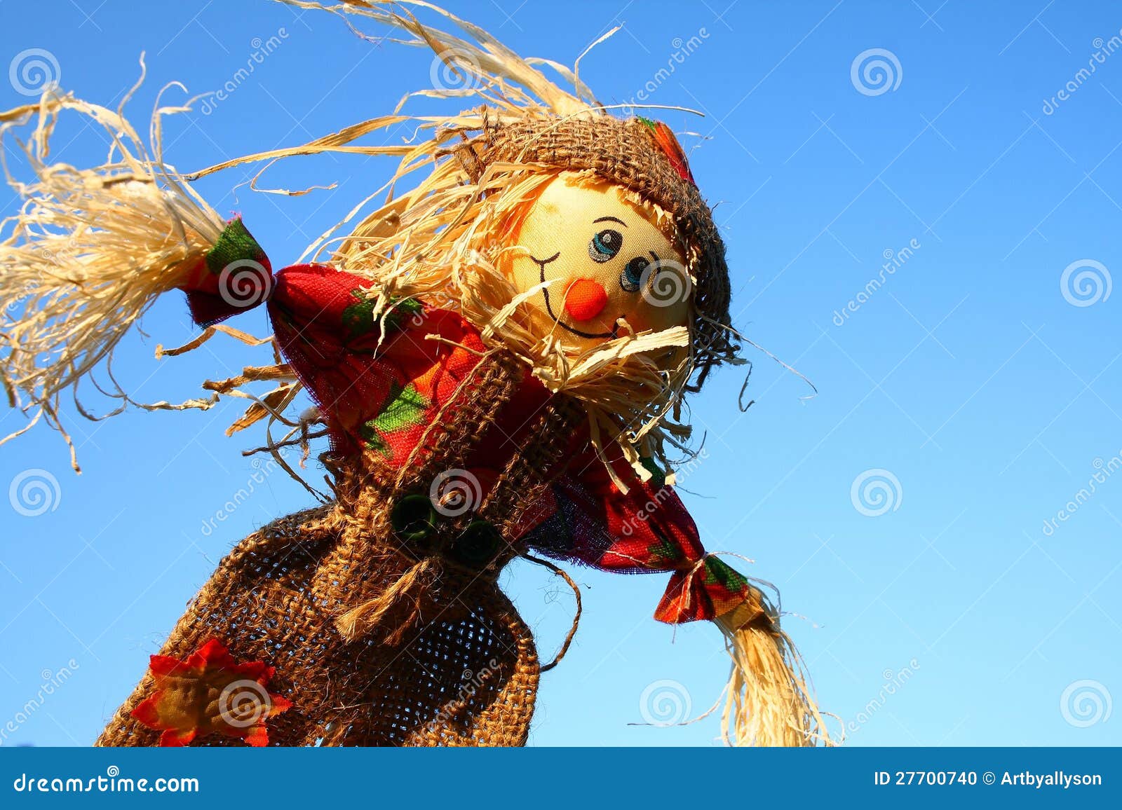 Scare Crow stock photo. Image of crow, scare, cold, fall - 27700740