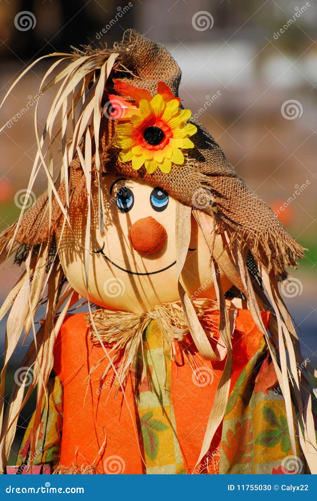 10,583 Scarecrow Stock Photos - Free & Royalty-Free Stock Photos from ...
