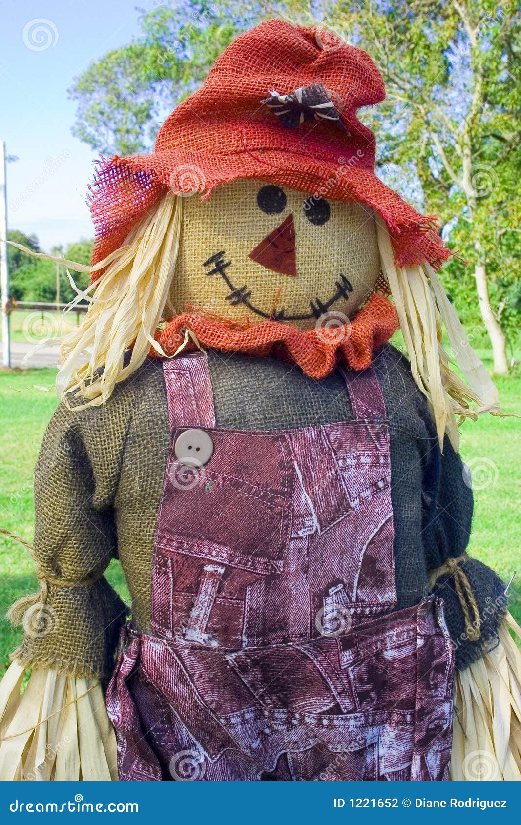 Scarecrow stock photo. Image of crow, smile, head, scare - 1221652