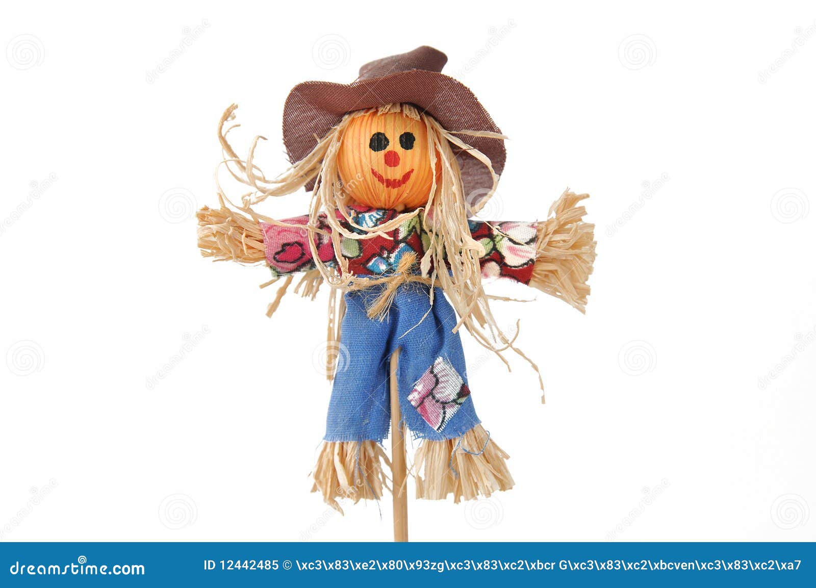 Scarecrow stock image. Image of crow, season, outdoors - 12442485