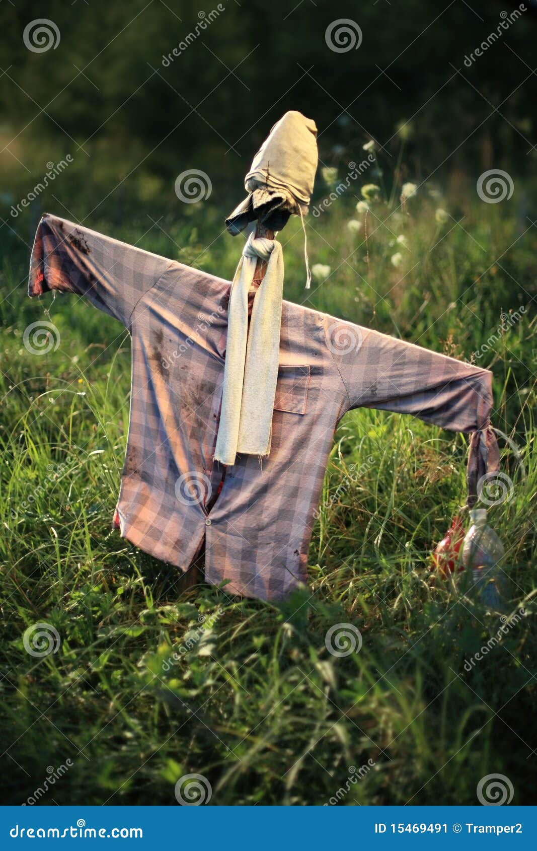Scarecrow stock image. Image of fake, decor, guard, plants - 15469491