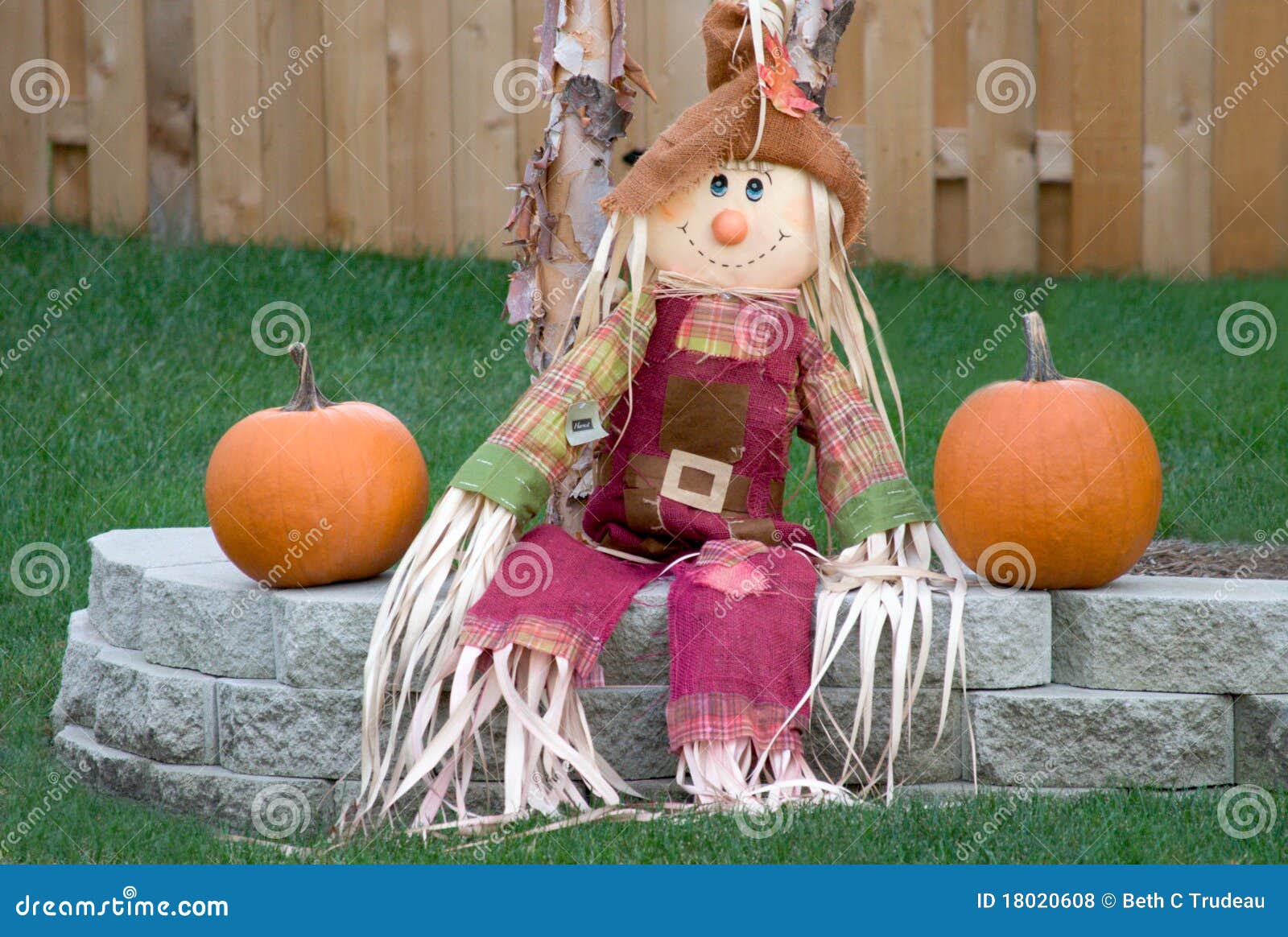 Scarecrow in the Autumn. stock photo. Image of outdoors - 18020608
