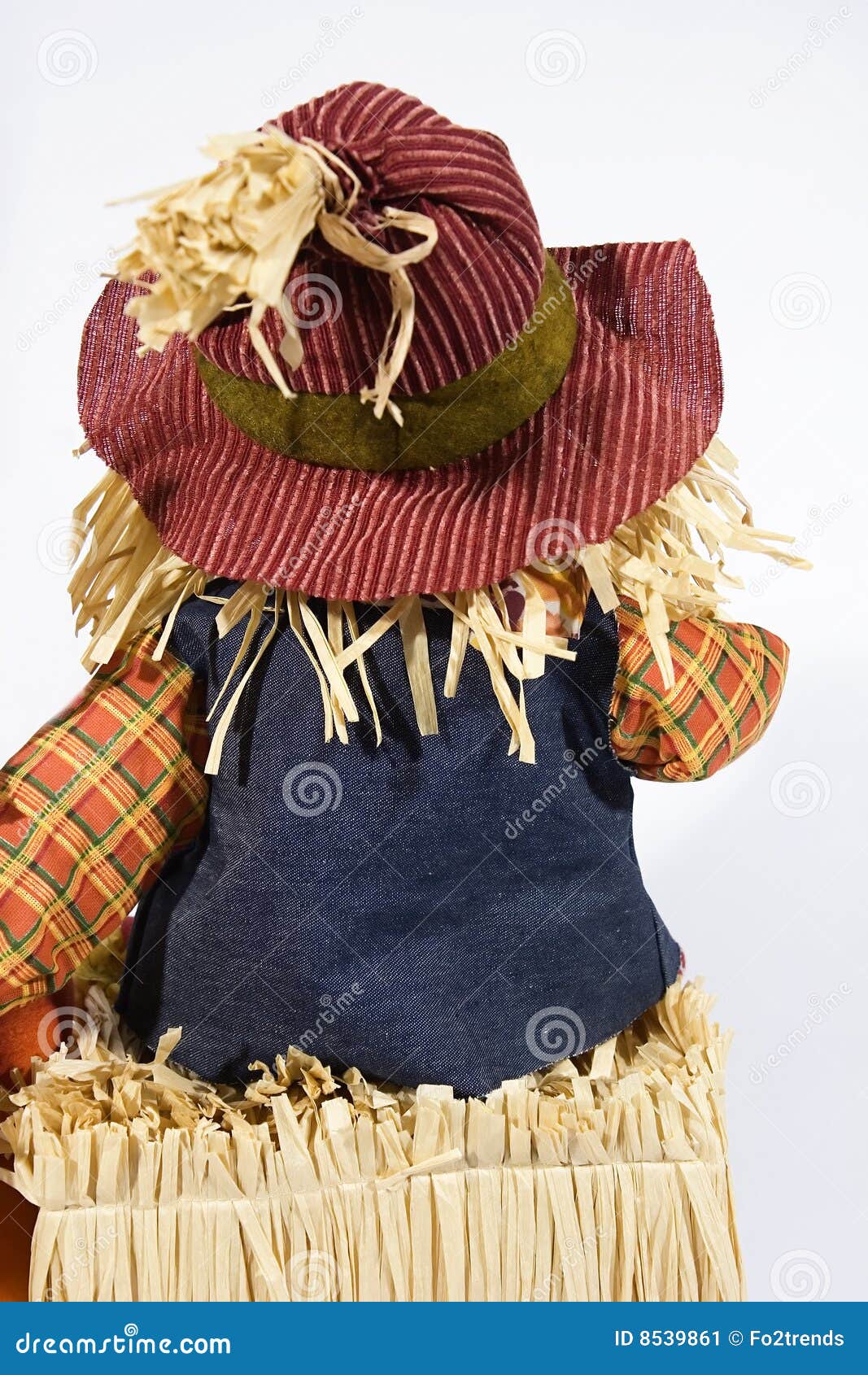Scarecrow back stock image. Image of doll, harvest, pumpkin - 8539861