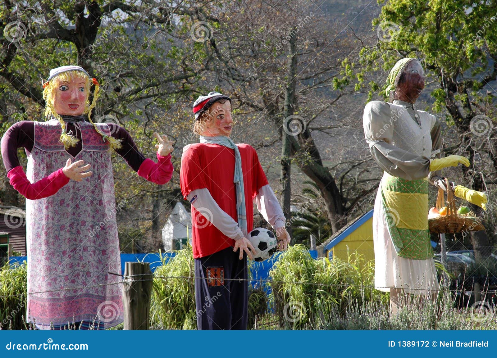 Scarecrow colours stock photo. Image of meadows, vegetable - 1389172