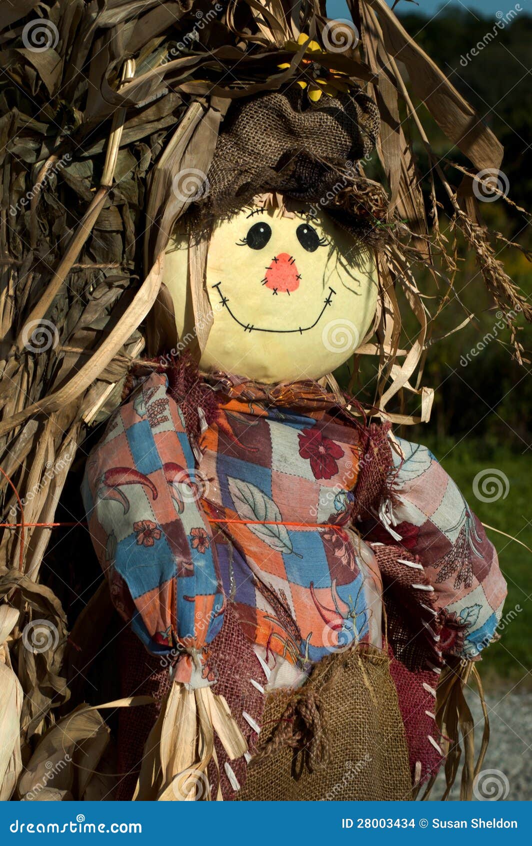 Scarecrow in the corn stock photo. Image of food, scare - 28003434