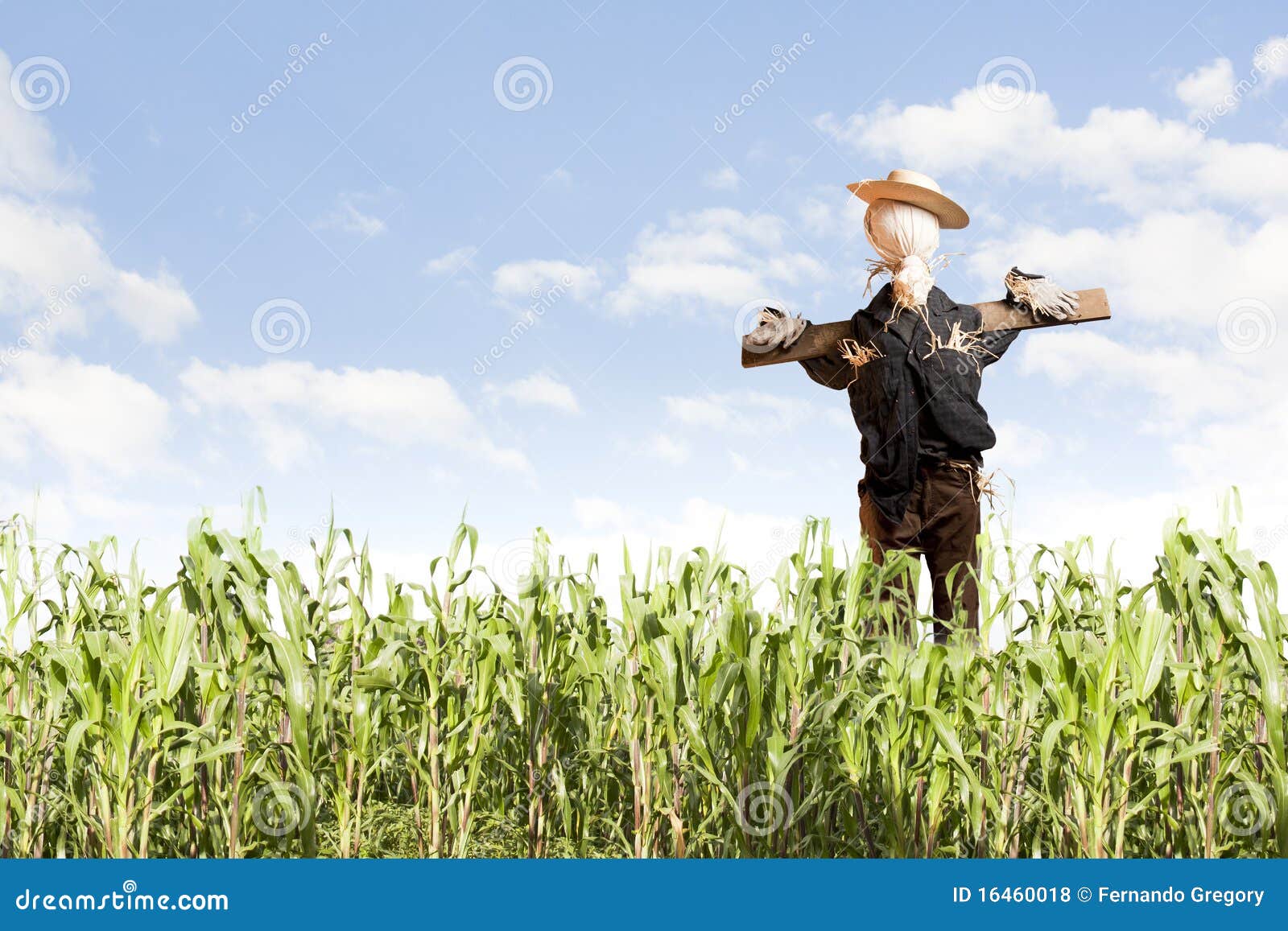Scarecrow In A Field To Chase Away Birds Stock Image | CartoonDealer ...