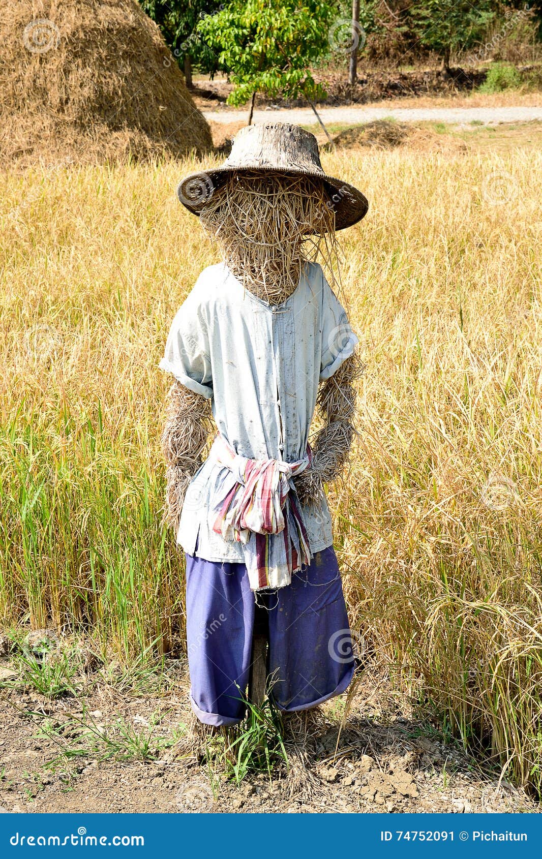 Scarecrow stock image. Image of field, protector, mannequin - 74752091