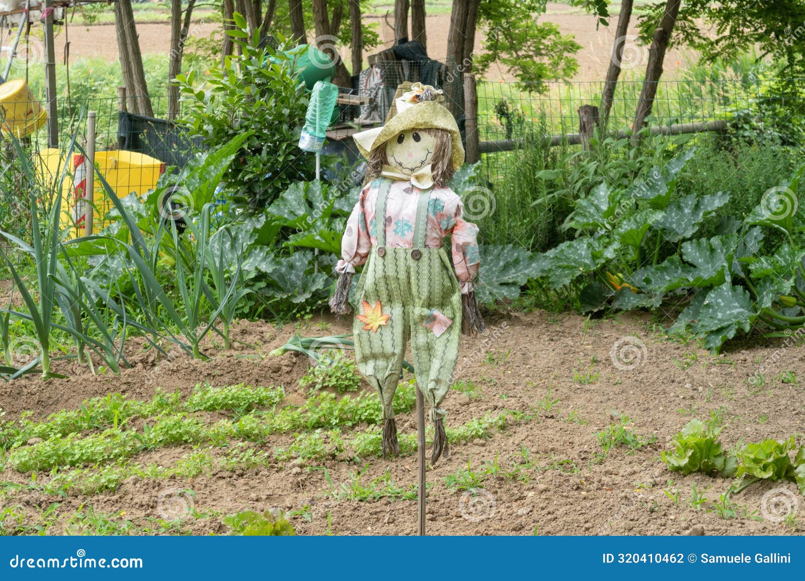Scarecrow stock photo. Image of tourism, vegetable, history - 320410462