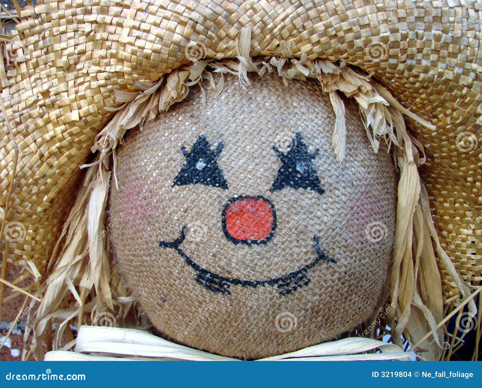 Scarecrow Face stock photo. Image of smiling, indian, fall - 3219804