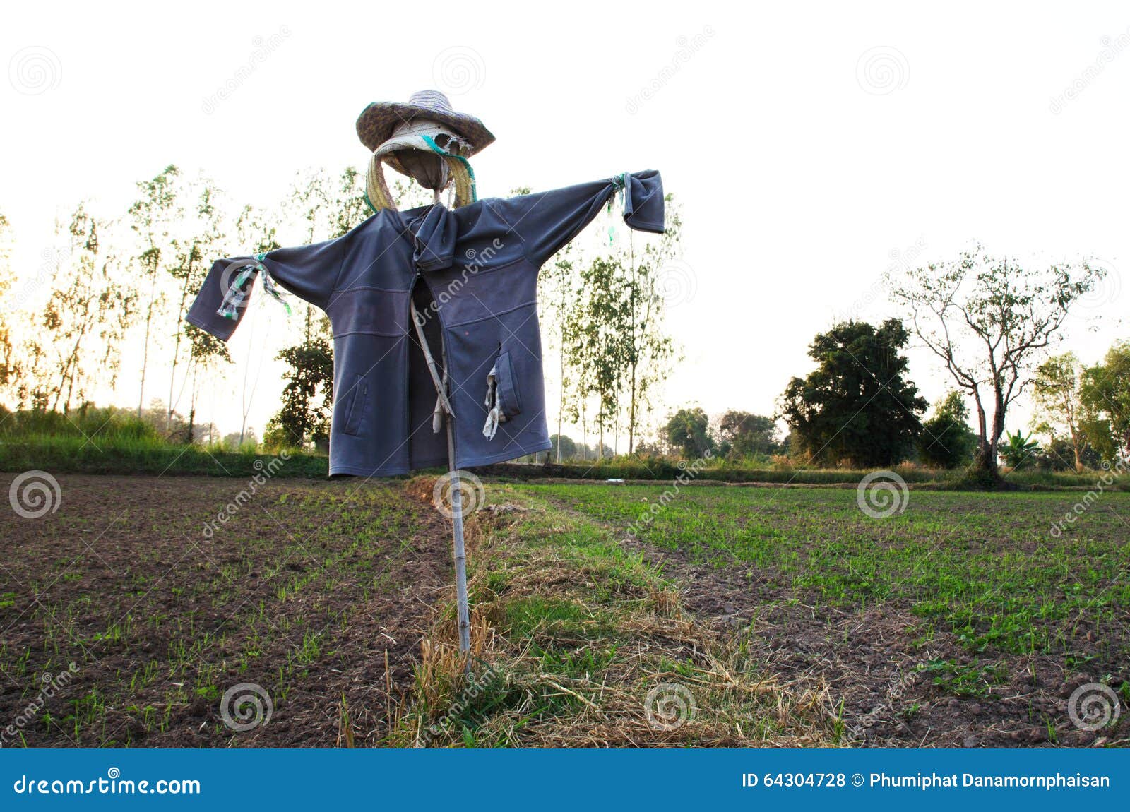 Scarecrow in farm stock photo. Image of outerwear, field - 64304728