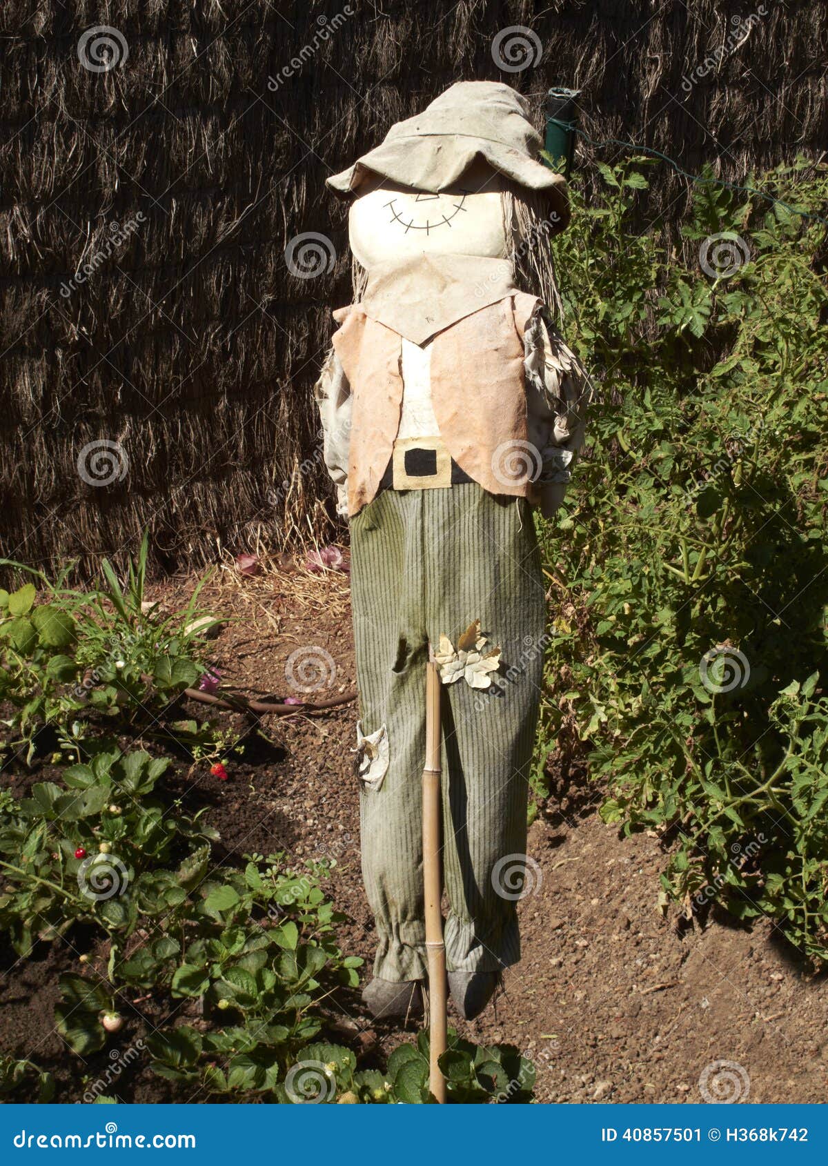 Scarecrow in a Farm with Human Figure Stock Image - Image of scarecrow ...