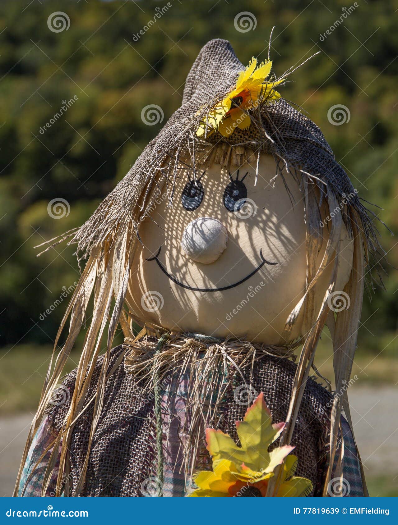 Scarecrow stock image. Image of seasonal, scarecrow, rural - 77819639