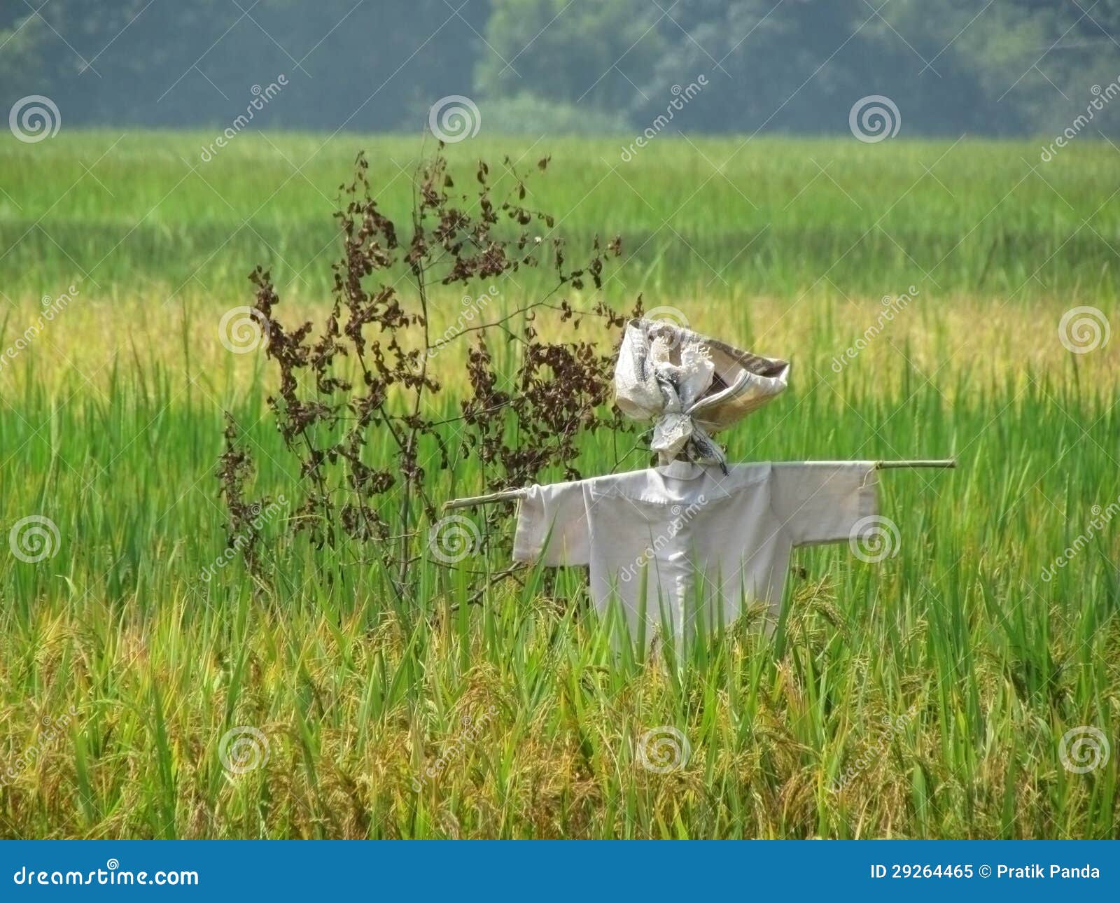 Scarecrow In A Field To Chase Away Birds Stock Image | CartoonDealer ...