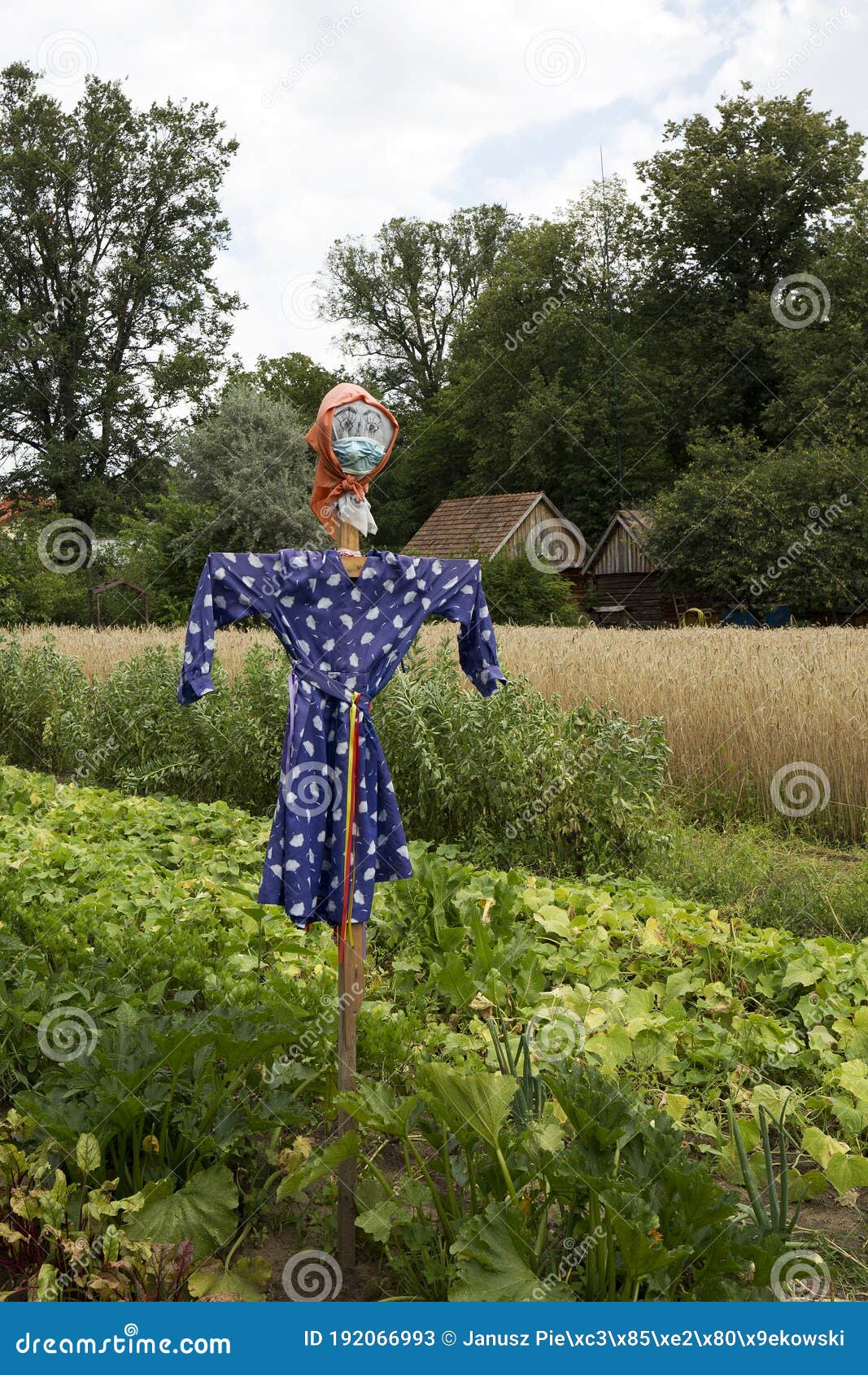 Scarecrow In A Field To Chase Away Birds Stock Image | CartoonDealer ...