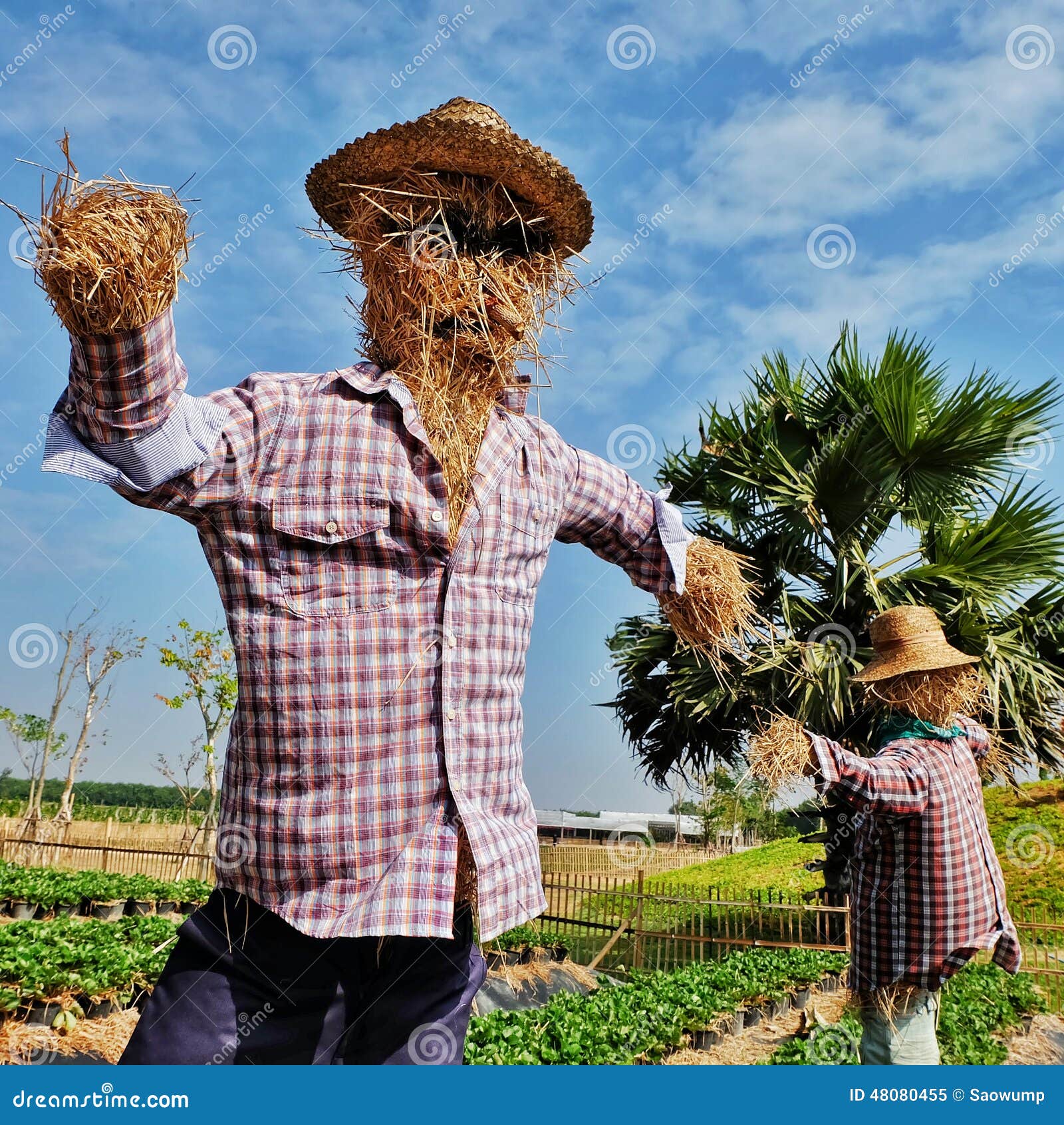Scarecrow in field. editorial image. Image of tree, farmer - 48080455