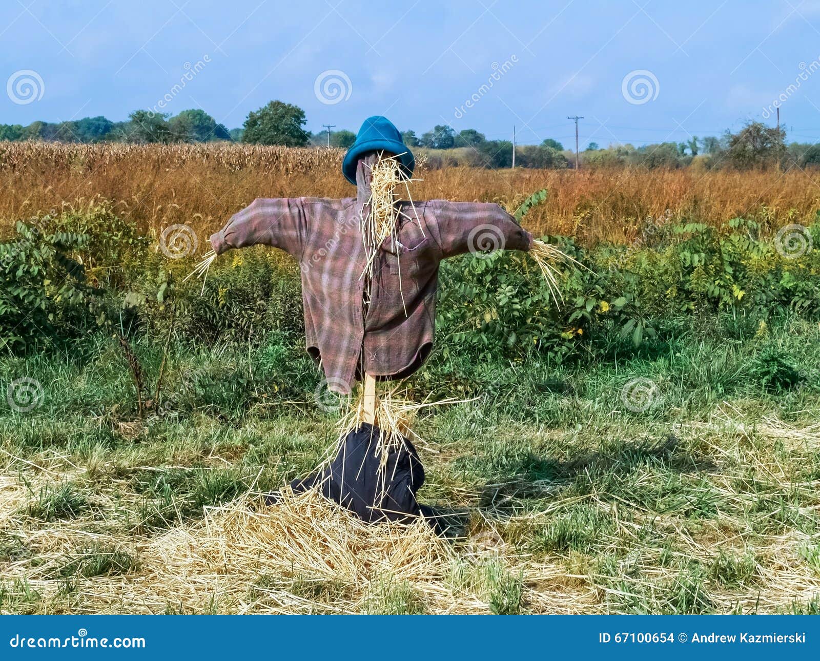 Scarecrow in Field stock photo. Image of scarecrow, farm - 67100654