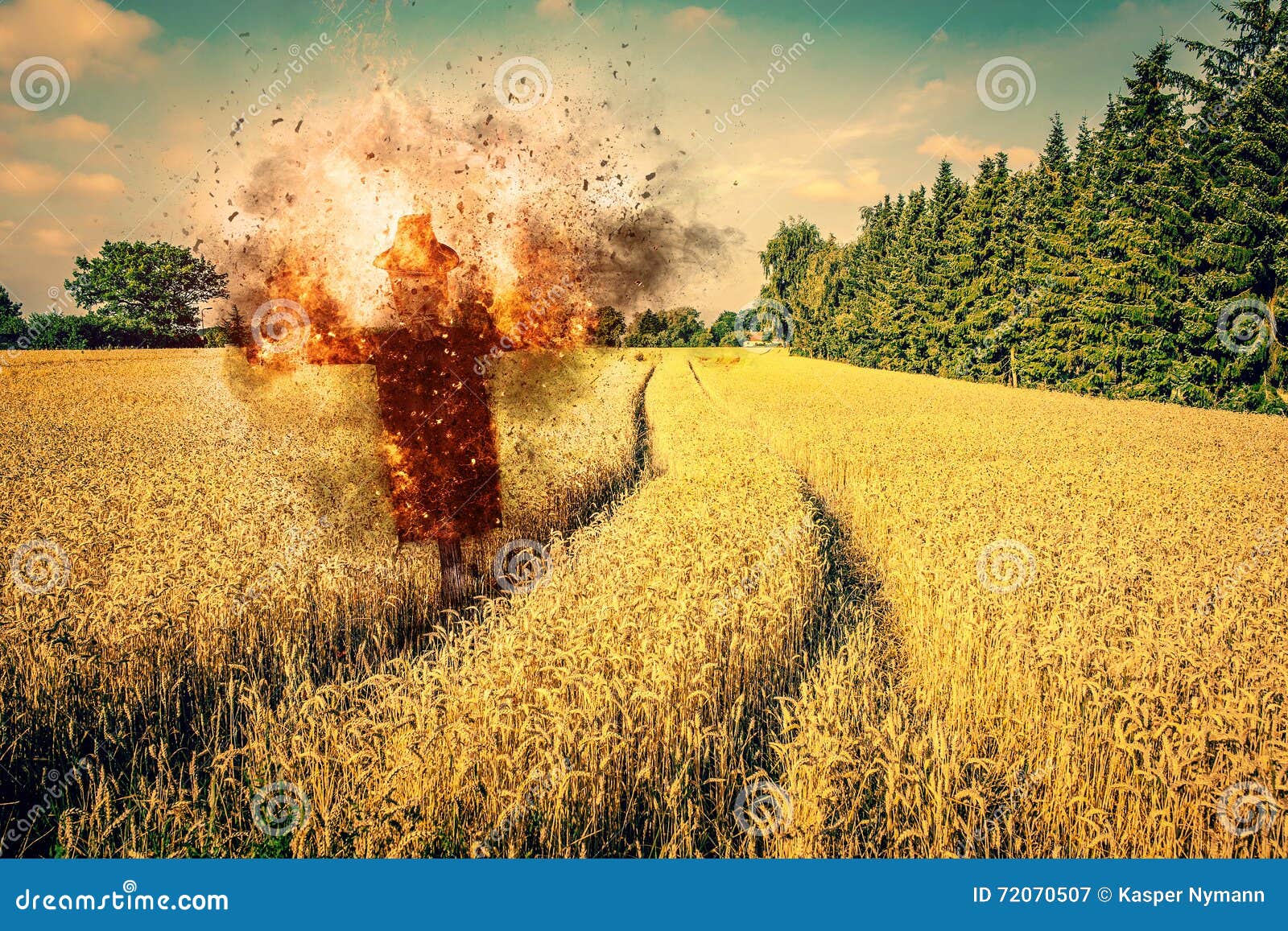 Scarecrow on Fire on a Field Stock Image - Image of countryside, danger ...