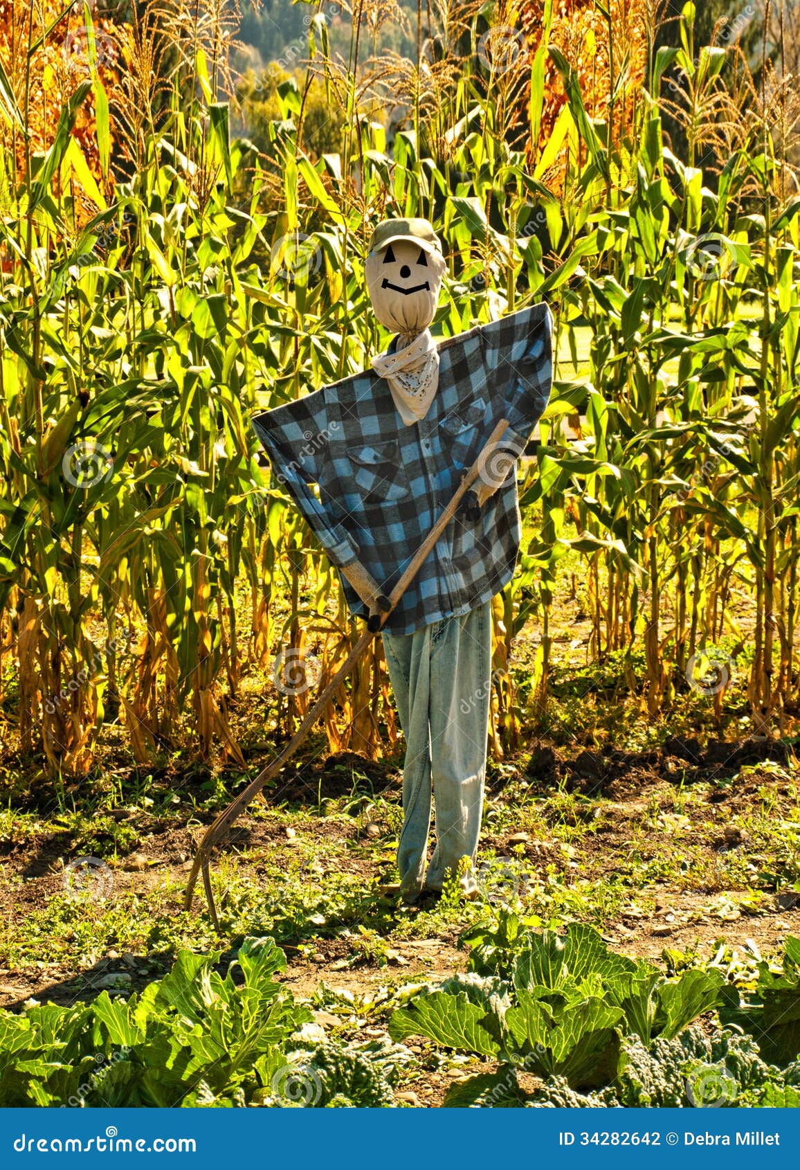 Scarecrow stock photo. Image of plants, field, farming - 34282642