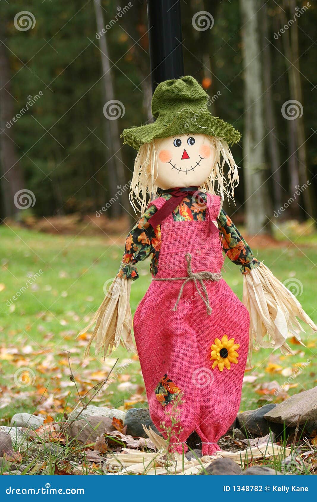 Scarecrow Full View Stock Photos - Free & Royalty-Free Stock Photos ...
