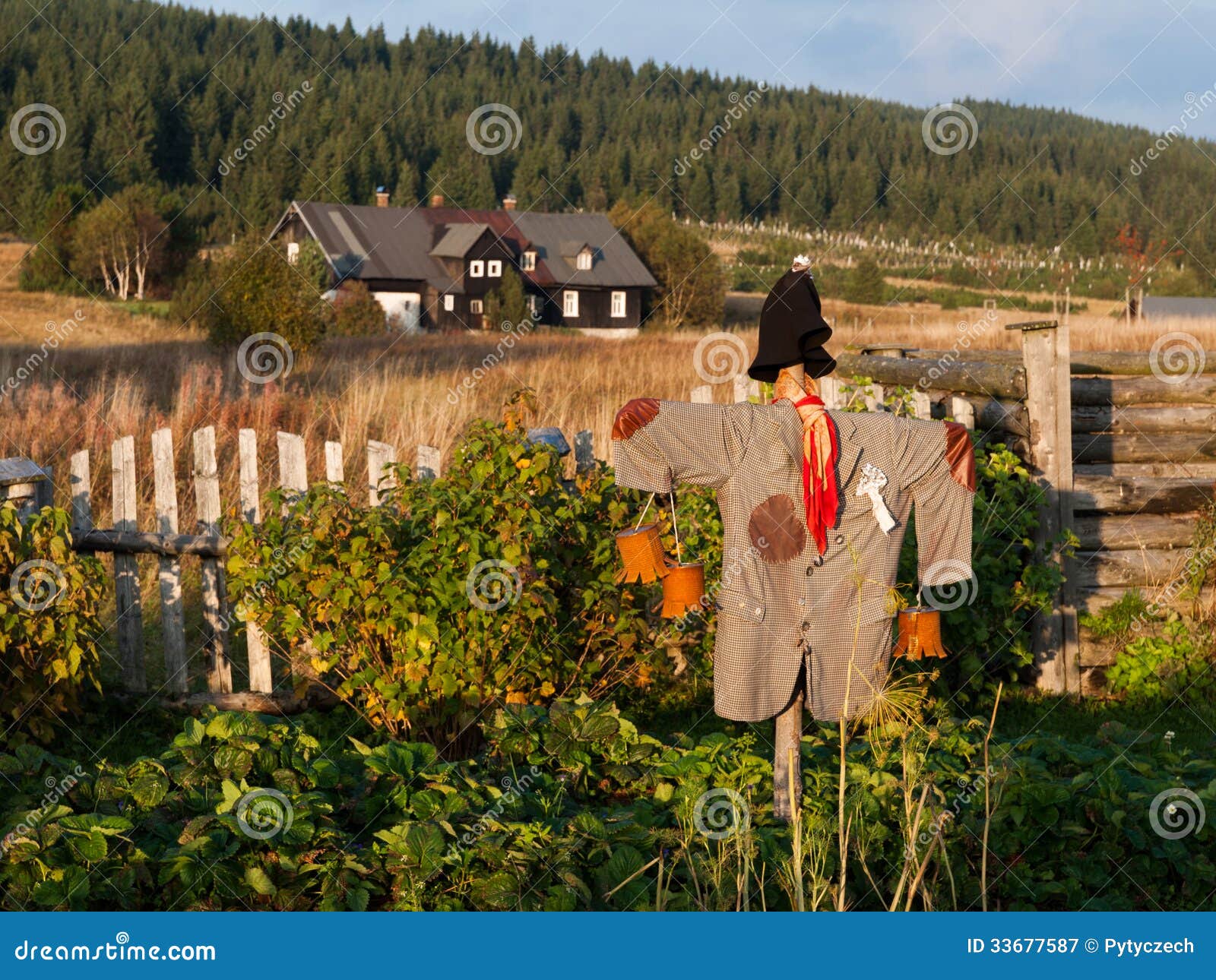 Scarecrow stock image. Image of farm, evening, farming - 33677587