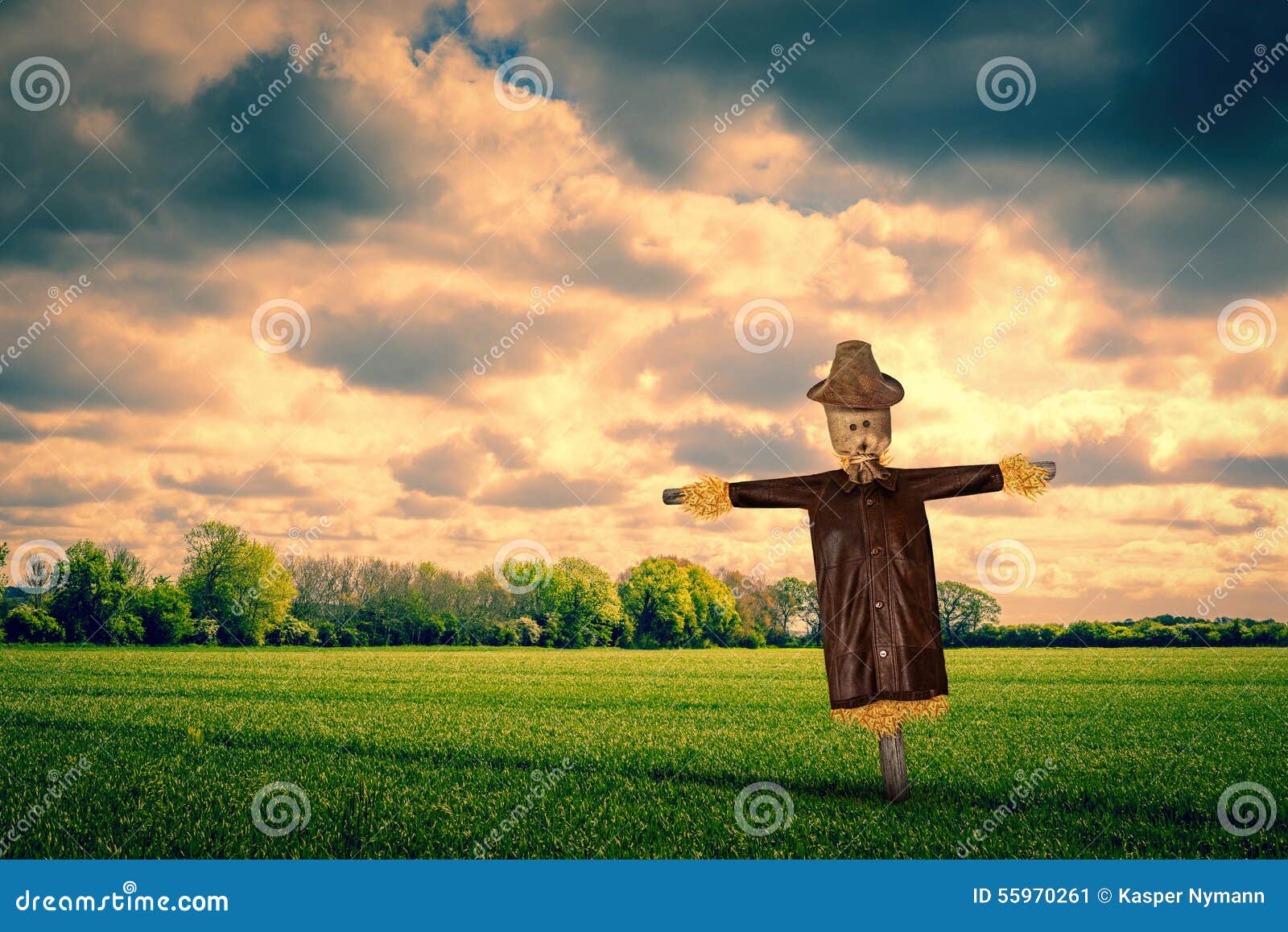 Scarecrow on a green field stock image. Image of growth - 55970261