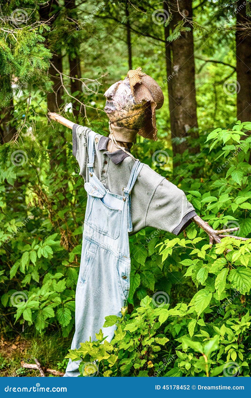 Scarecrow stock photo. Image of lifestyles, botanical - 45178452