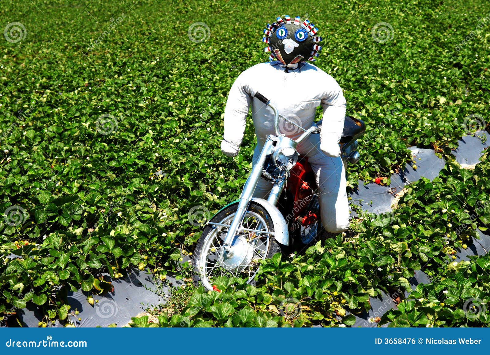 Scarecrow on a motorcycle stock photo. Image of scarecrow - 3658476