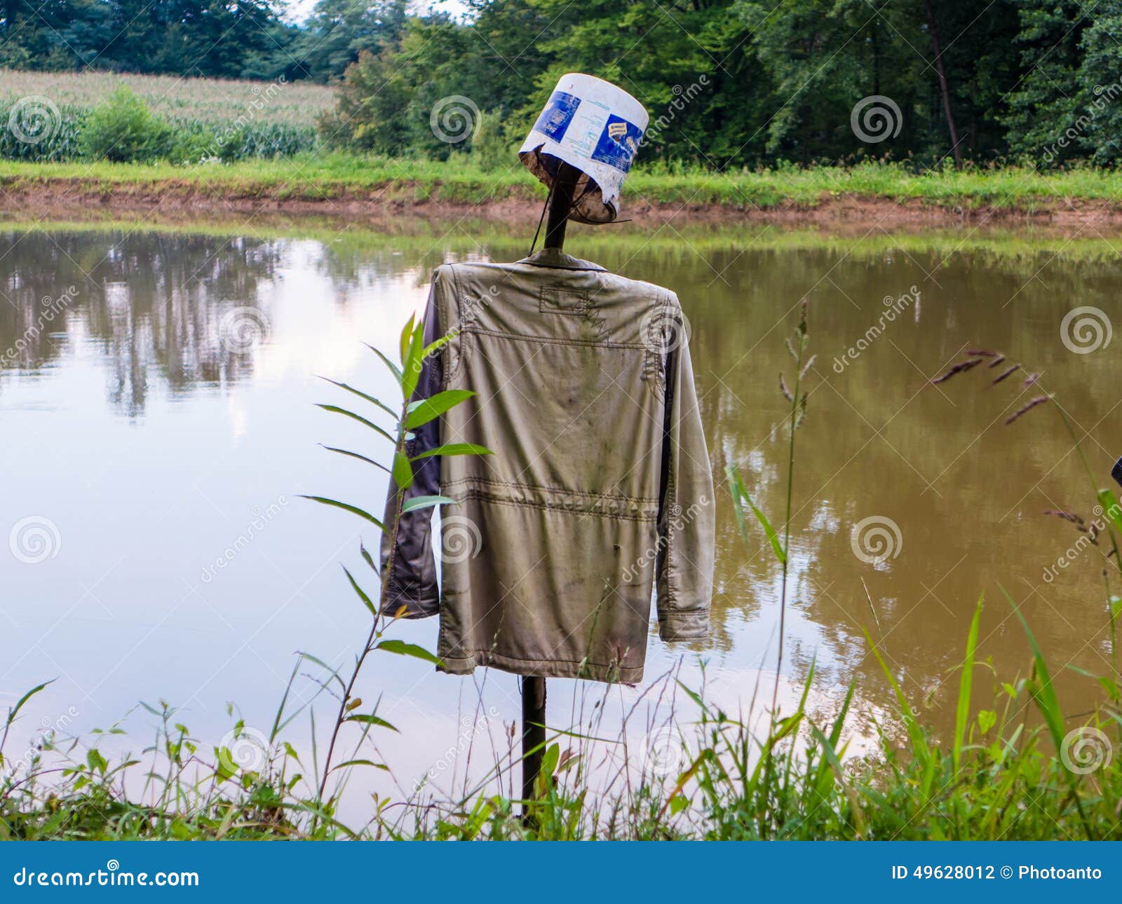 Scarecrow stock photo. Image of trees, water, nature - 49628012