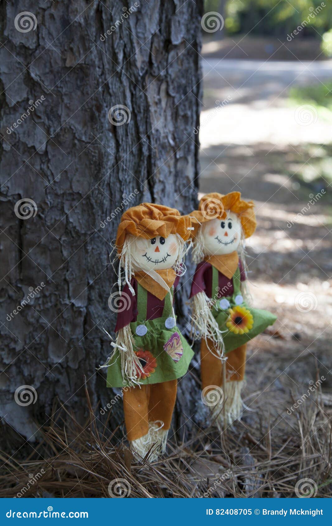 Scarecrow stock image. Image of humor, folksy, autumn - 82408705
