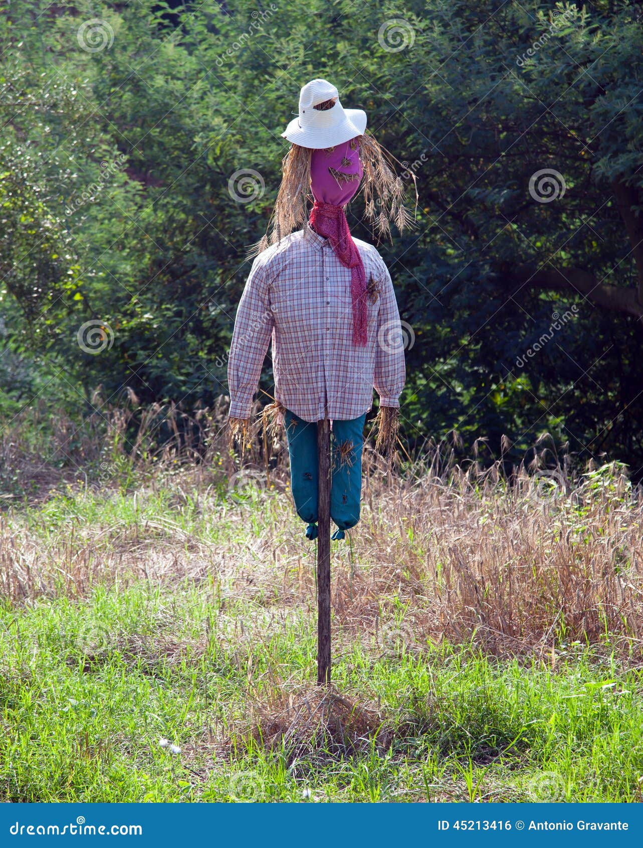 Scarecrow stock photo. Image of grain, farm, landscape - 45213416