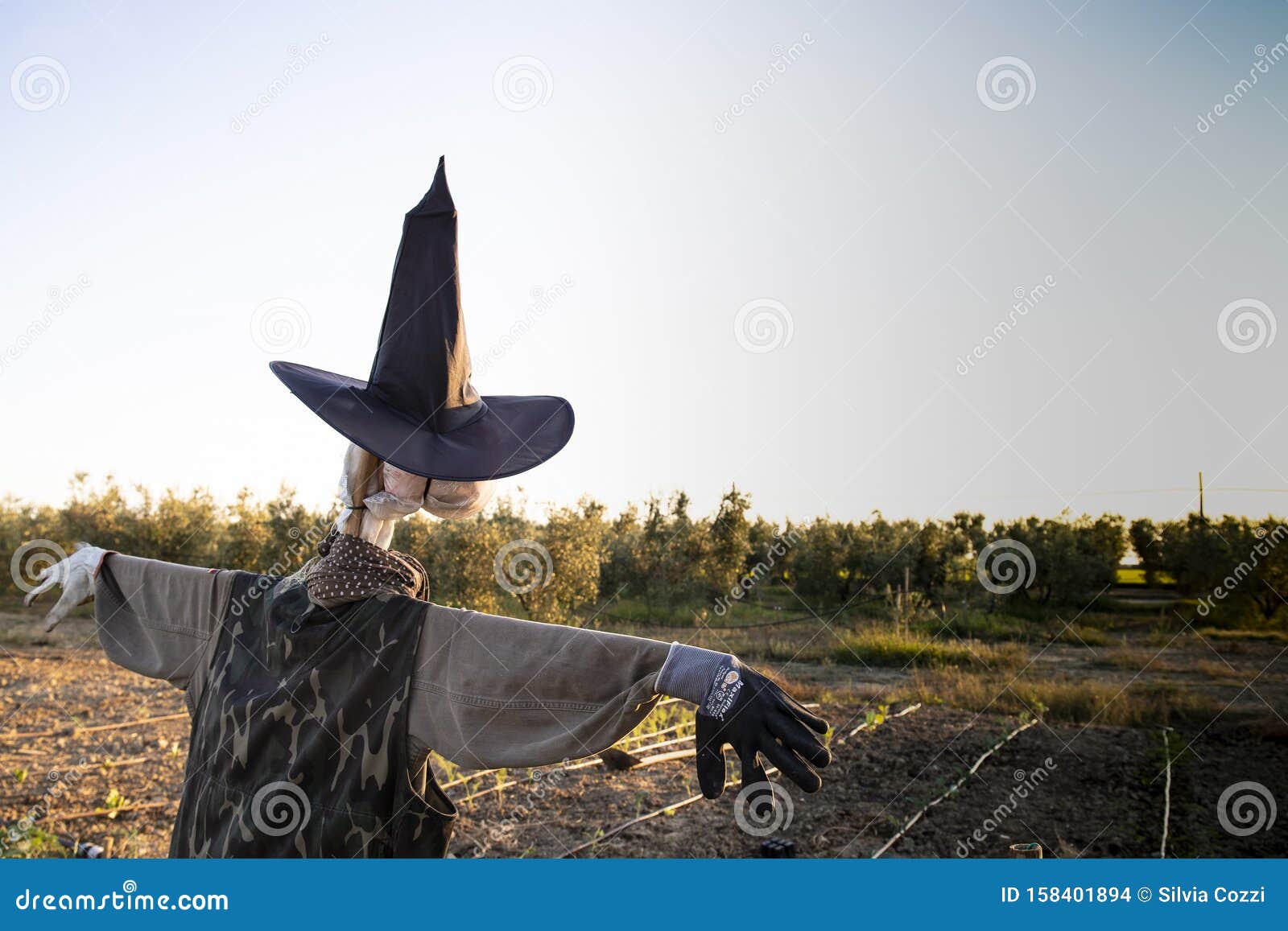 Scarecrow Back View Ay Sunset Stock Photo - Image of scarecrow, scarer ...