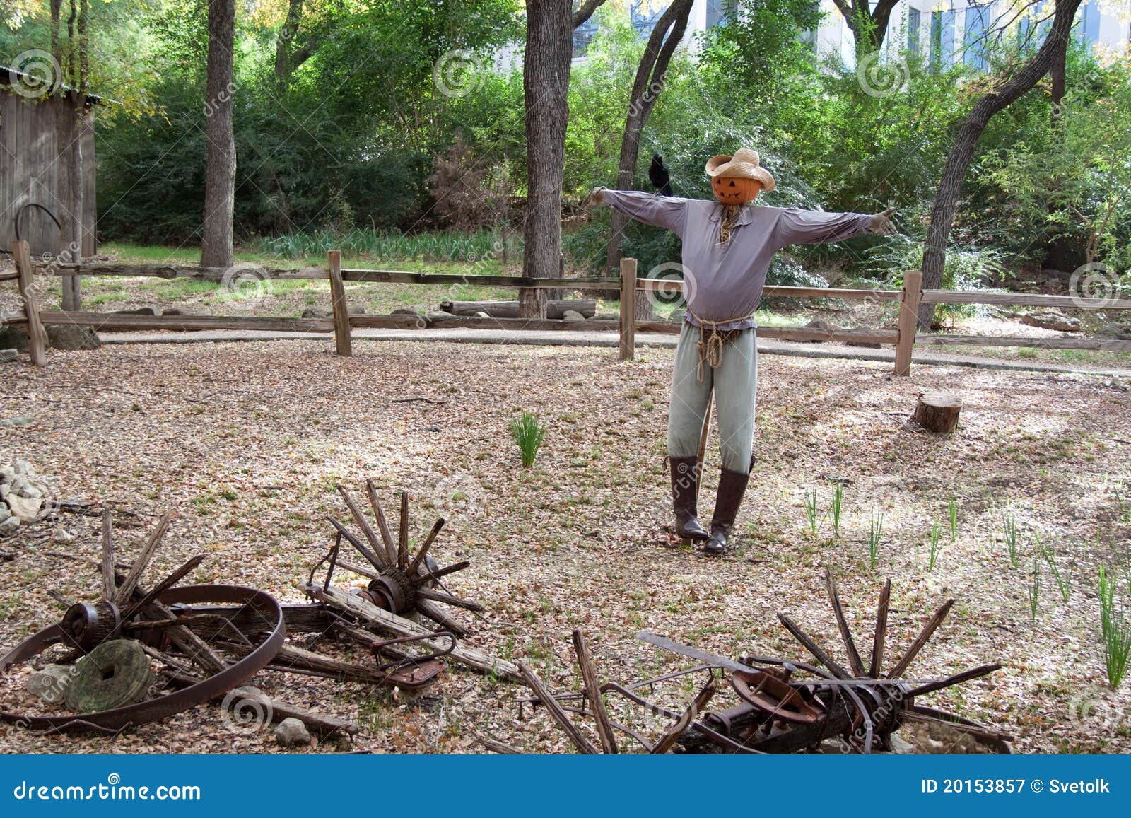 Scarecrow with raven stock image. Image of decoration - 20153857
