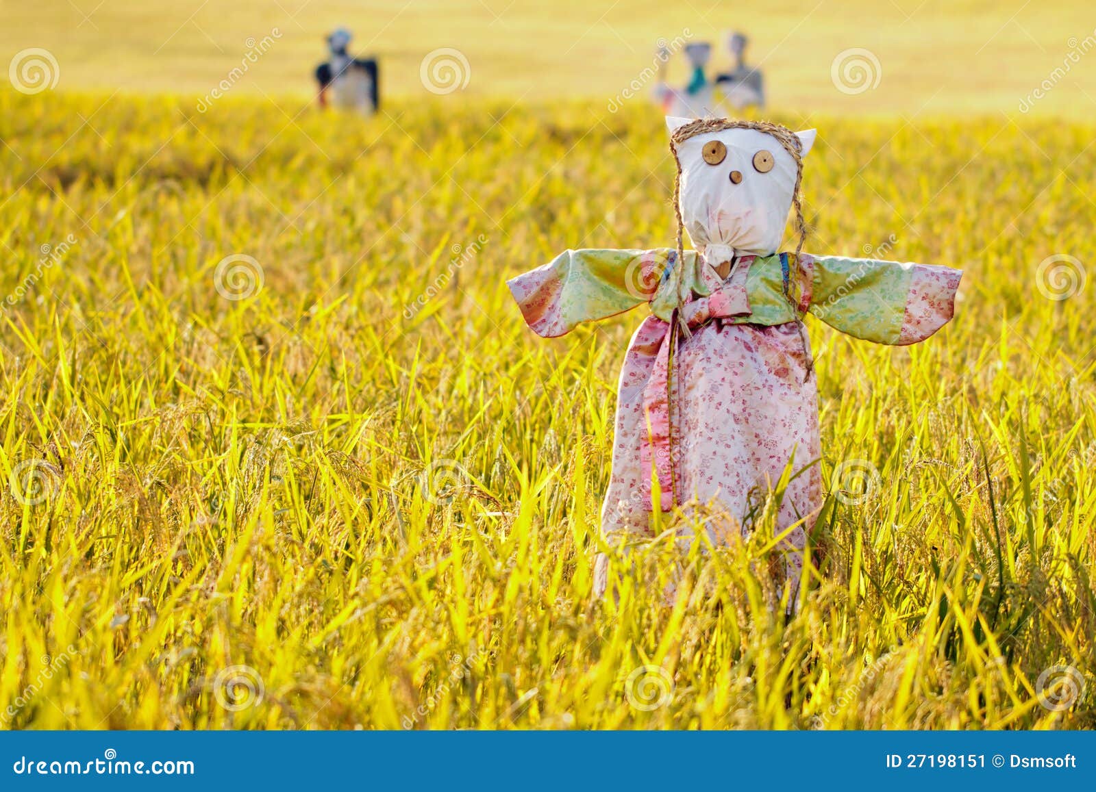 Scarecrow In The Rice Farm Royalty-Free Stock Photography ...