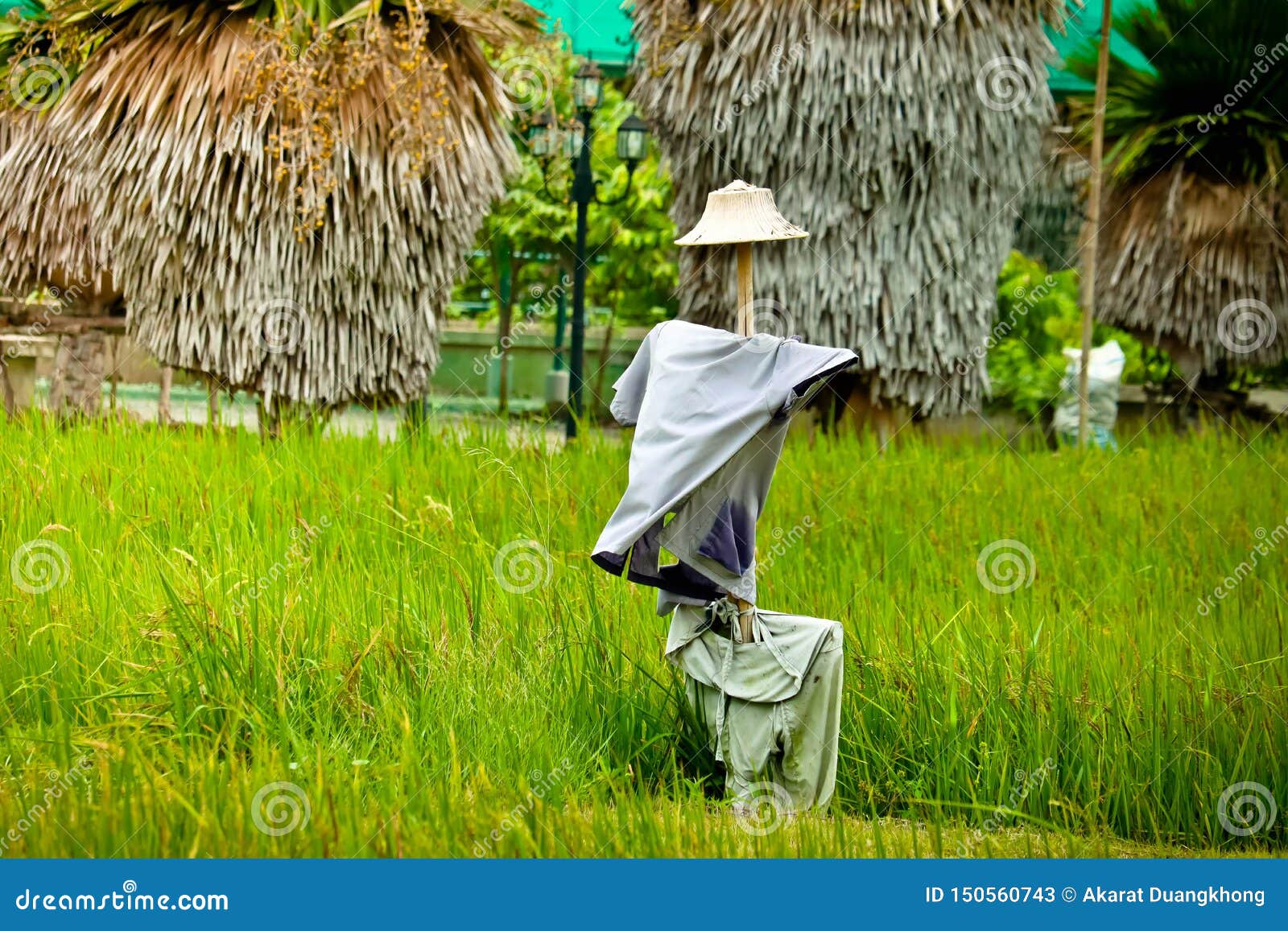 Scarecrow in the field stock image. Image of doll, field - 150560743