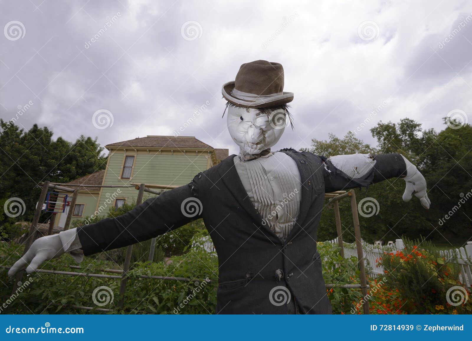 Scarecrow stock image. Image of garden, crops, crop, nature - 72814939