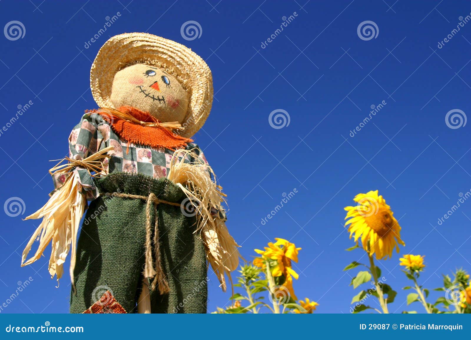 Scarecrow in a Sunflower Field Stock Image - Image of field, farm: 29087