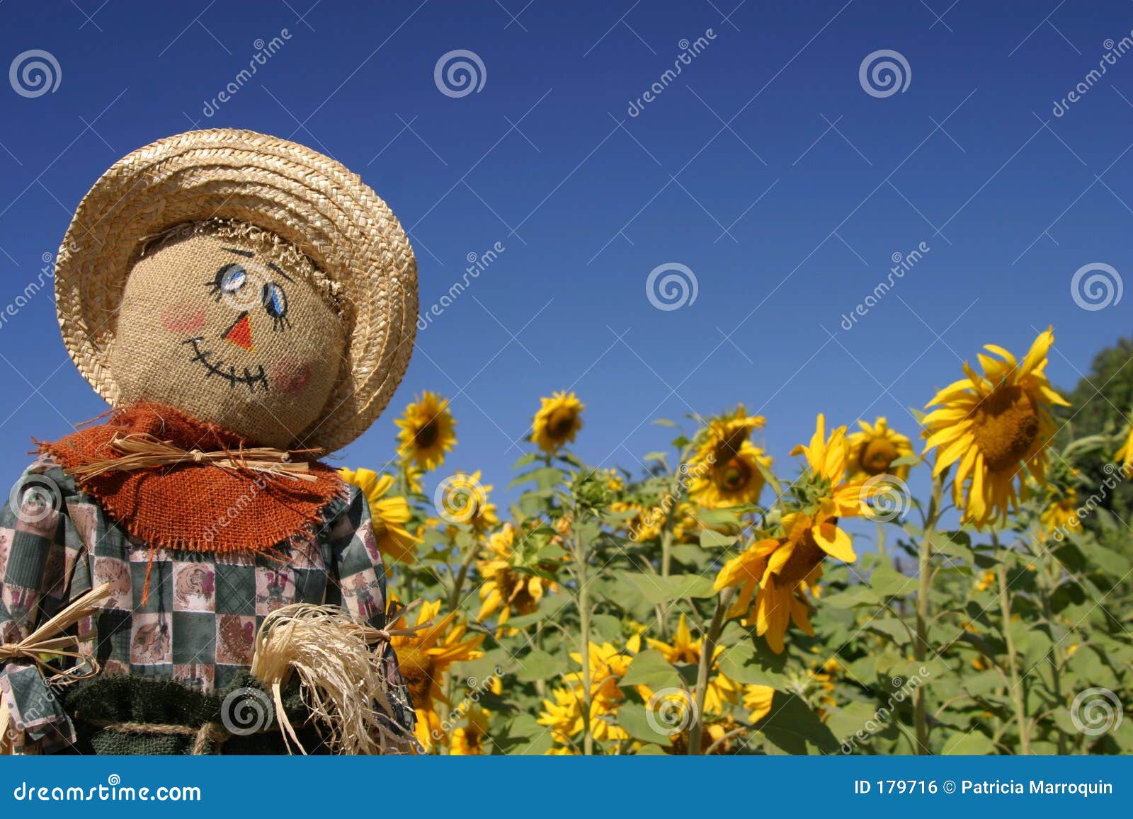Scarecrow in the Sunflower Forest Stock Photo - Image of guard ...