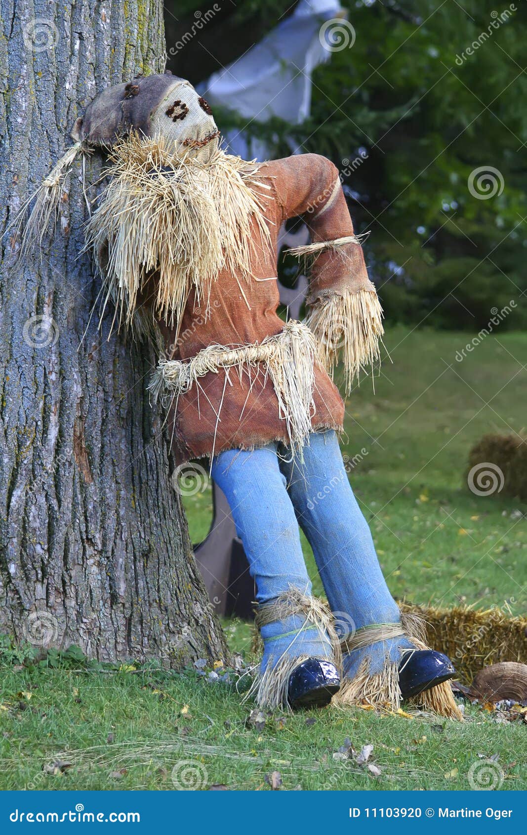 Scarecrow on tree. stock photo. Image of wood, fall, crisp - 11103920