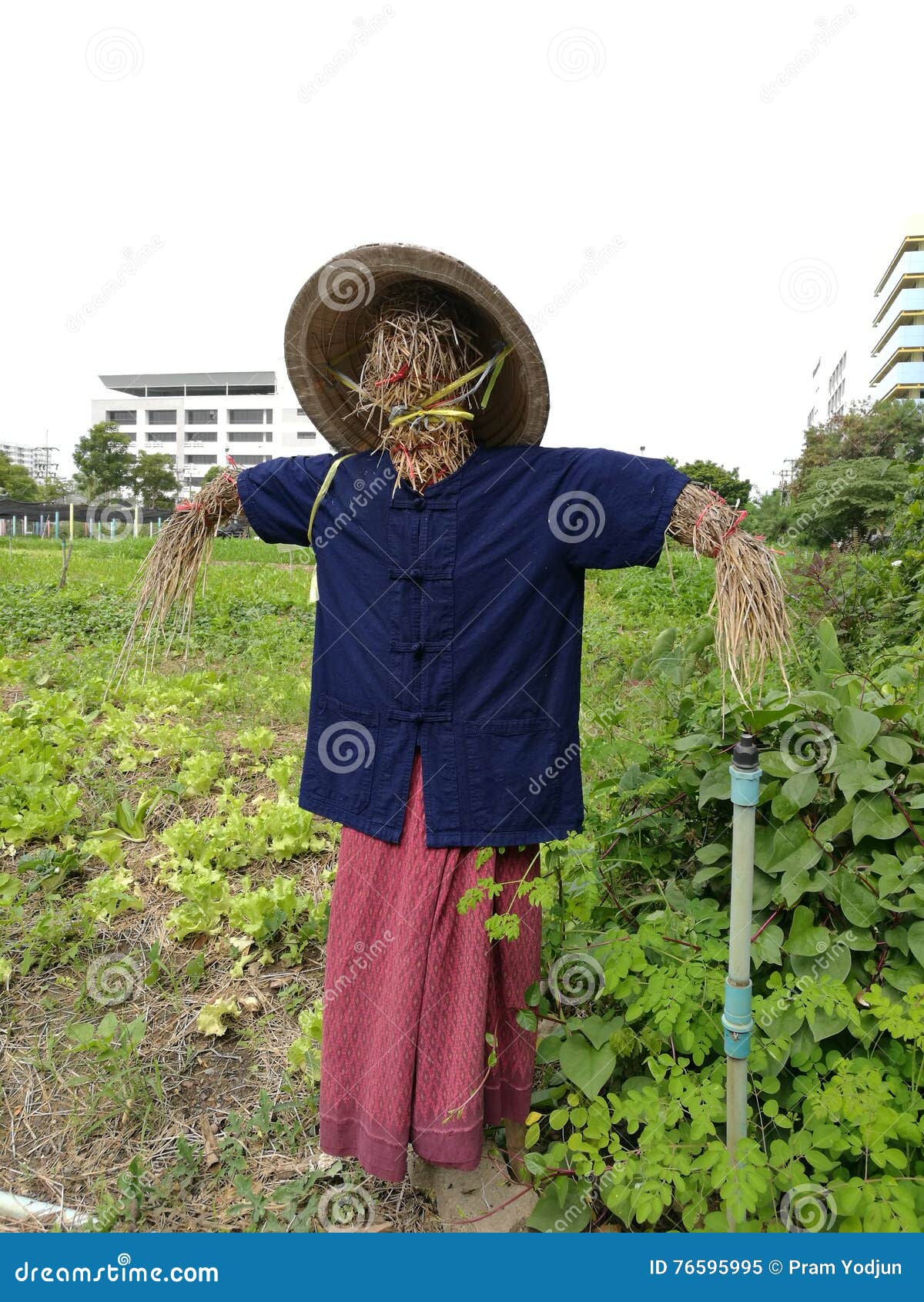 Scarecrow In A Vegetable Garden In Sri Lanka Stock Photography ...
