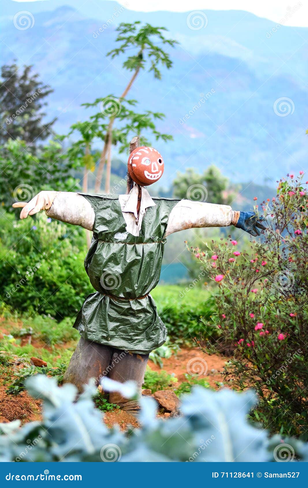 Scarecrow in a Vegetable Garden in Sri Lanka Stock Image - Image of ...