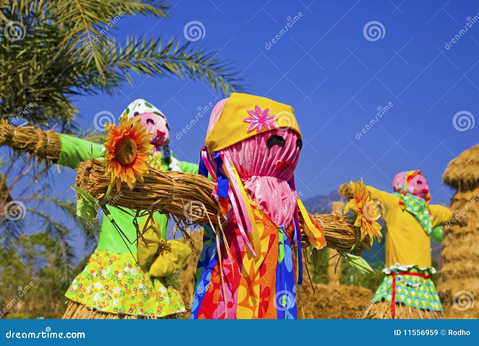 Scarecrows stock image. Image of face, decoration, celebration - 11556959