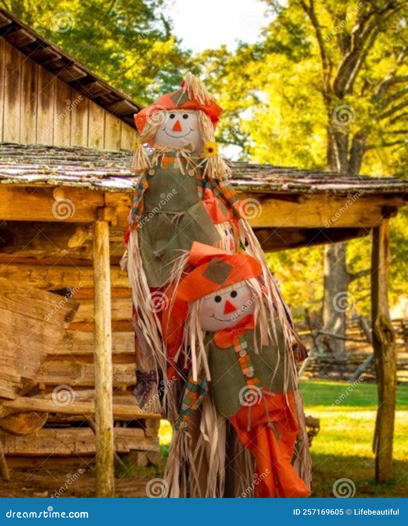 Autumn scarecrows stock image. Image of scarecrows, autumn - 257169605