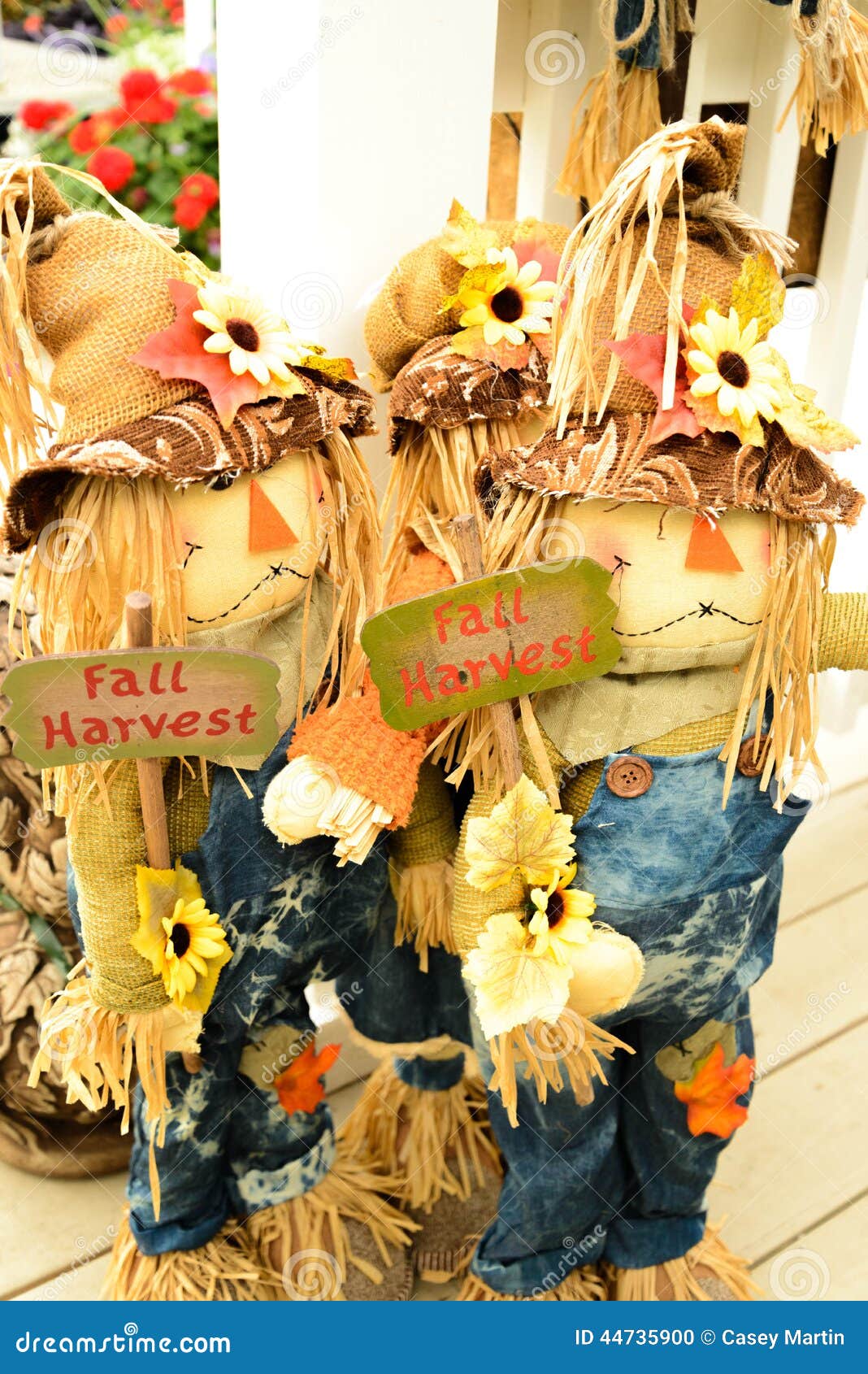 Scarecrows with Flowers and Hay Stock Photo - Image of halloween ...