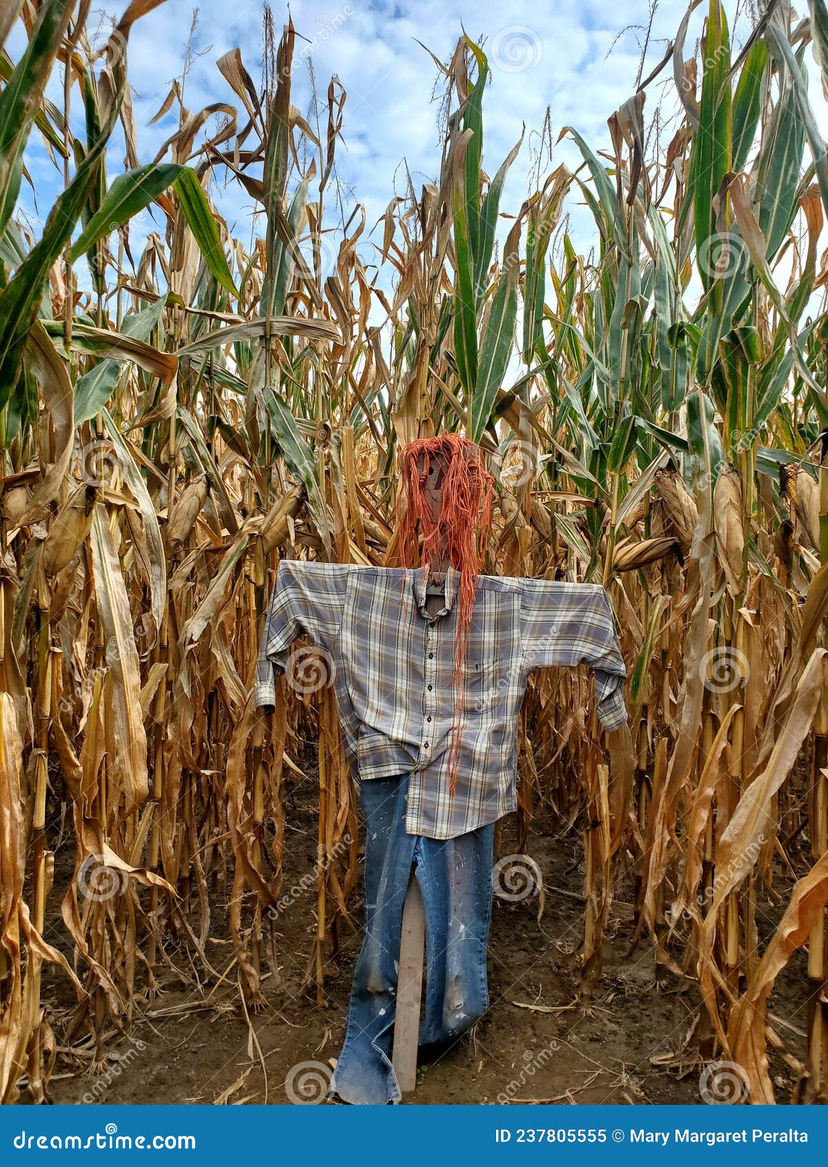 Scarecrows of McCully`s Hill Farm Stock Image - Image of colors ...