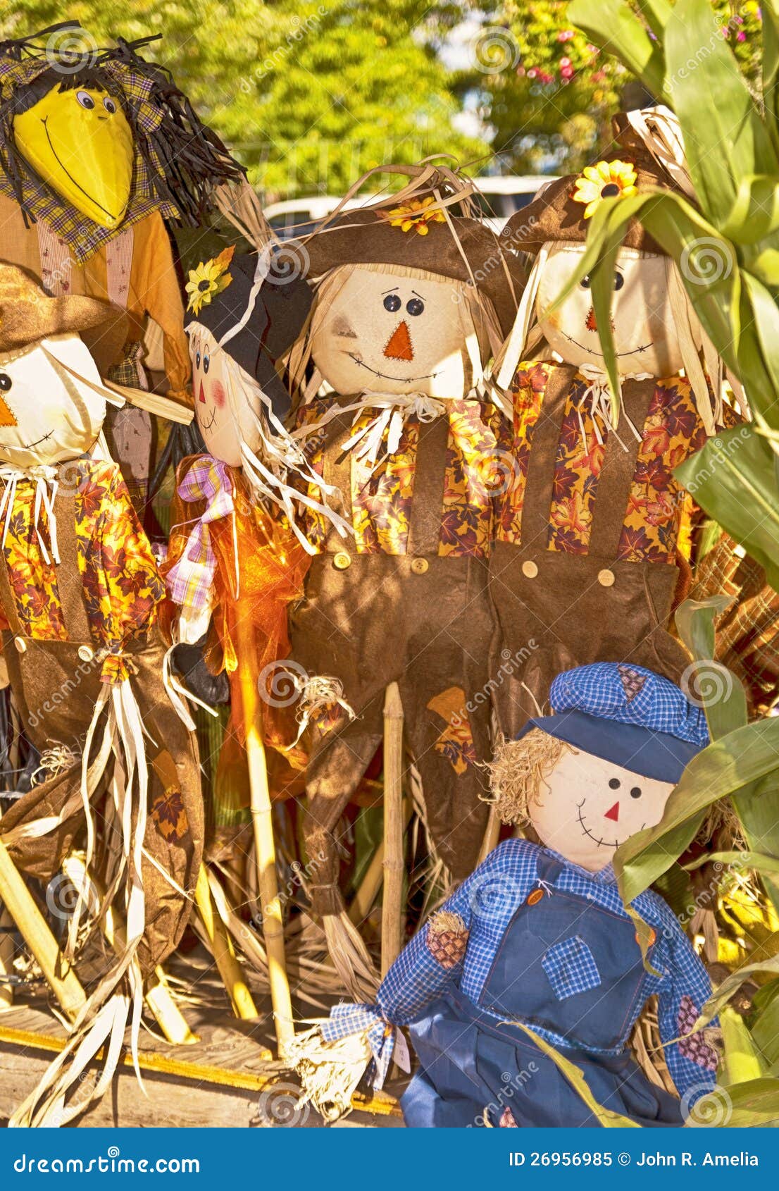 Scarecrows2 stock image. Image of patch, produce, autumn - 26956985